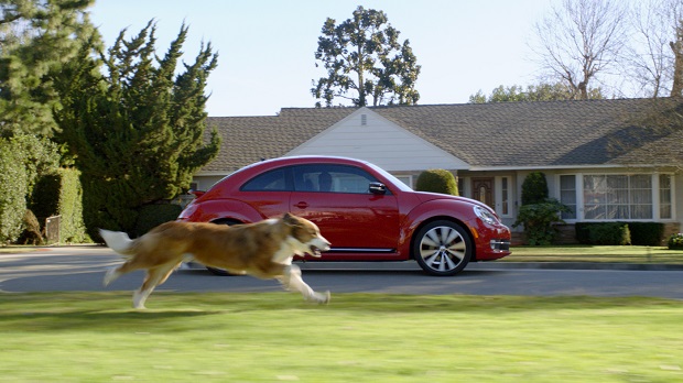 Ever Wondered Why Dogs Bark And Chase After Moving Vehicles? Here Is ...