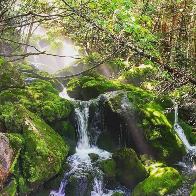 23 Places To Visit In Mussoorie The Queen Of The Hills