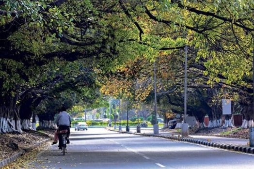 14 Facts About Chandigarh That Makes It A Perfect City To Live In