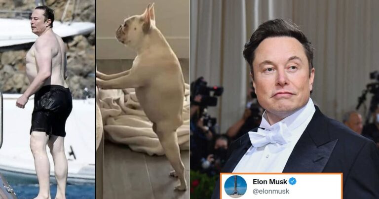 Elon Musk On The Spot Reply To Fan Who Compared His Shirtless Pic With ...