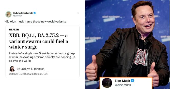 Elon Musk Responds After Dogecoin Creator Asks If He Is Behind The ... Elon Musk Responds After Dogecoin Creator Asks If He Is Behind The ...