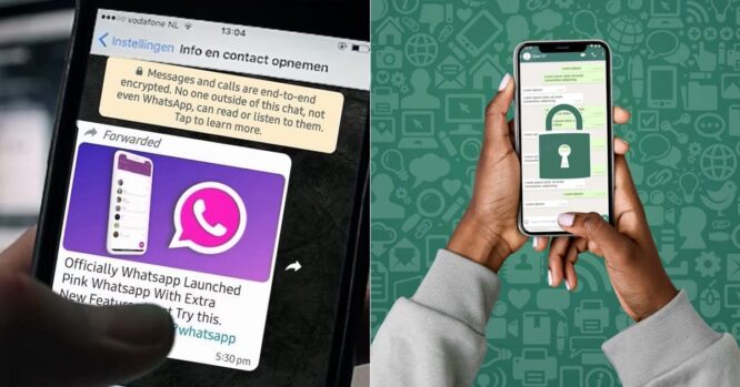 Beware Of The Latest Pink WhatsApp Scam And How To Stay Safe Beware Of The Latest Pink WhatsApp Scam And How To Stay Safe
