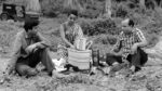 31 Satyajit Ray Movies - The Legendary Indian Director