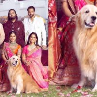 Here's What Nita Ambani Was Holding In Her Hands During Anant And ...